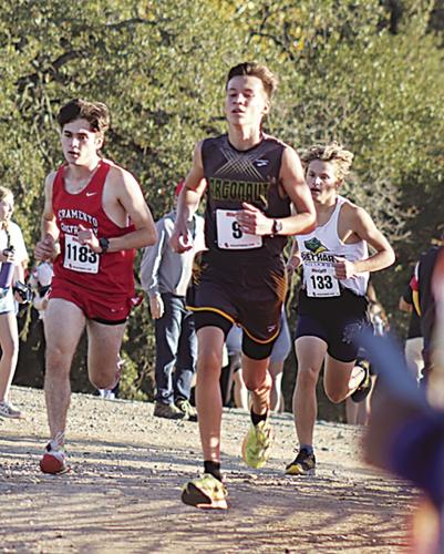Section finals performances send local runners into offseason with ...