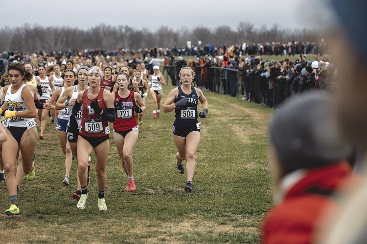 Record-setting Argonaut High runner Anna Rose closes out her collegiate ...