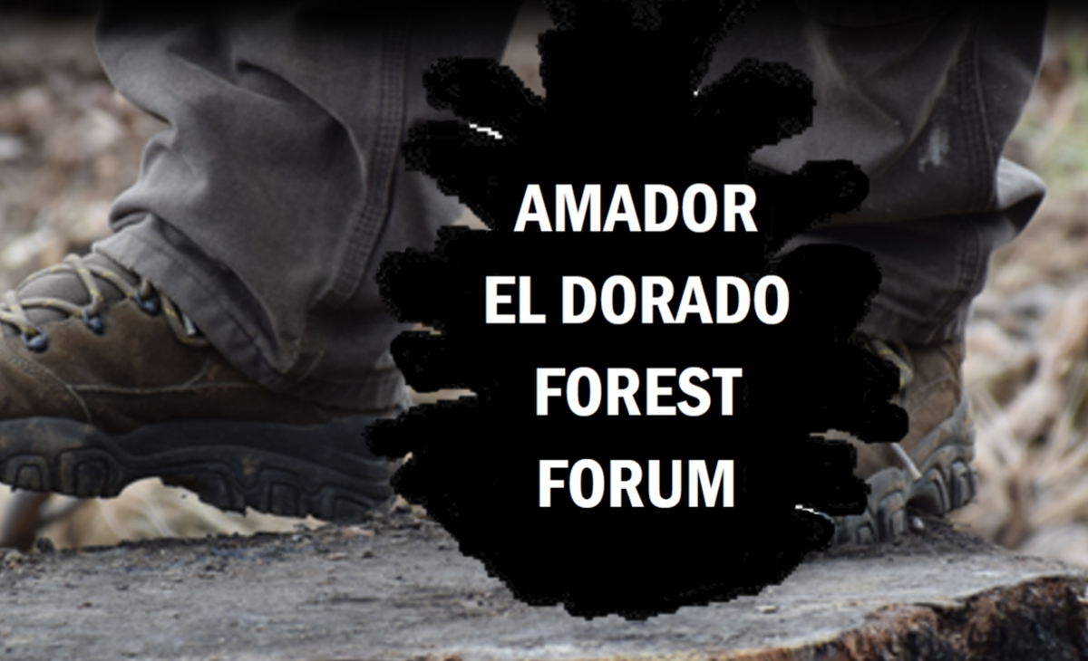 Forager Fuels BioEnergy Systems the topic at the Amador-El Dorado ...