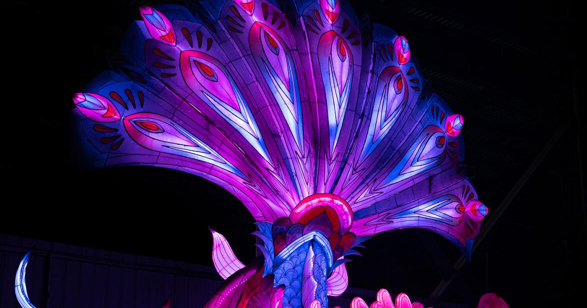 Stockton Lantern Festival Returns With Magic Ocean | On the Vine ...