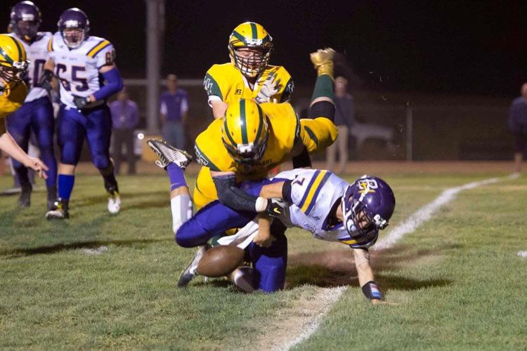 2017 All Star Lions Selection — David Crowhurst | In the Game | ledger.news