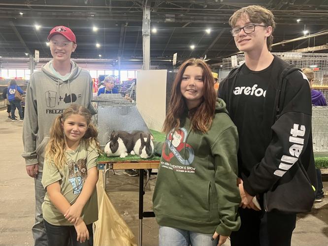 Another Successful Trip To The National Rabbit Show | Roots | ledger.news