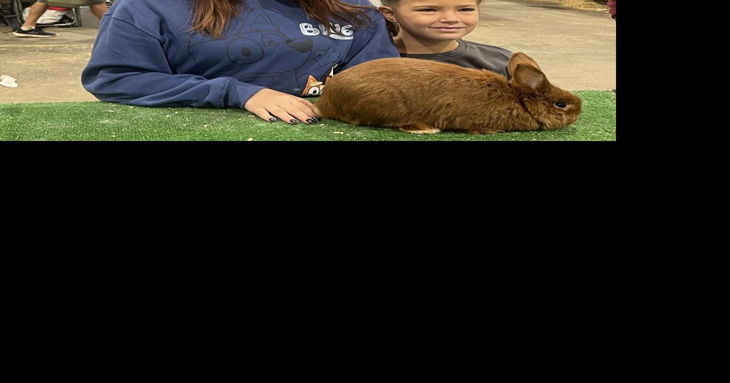 Another Successful Trip To The National Rabbit Show | Roots | ledger.news