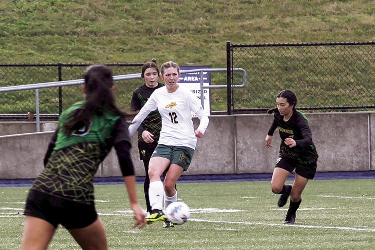 Argonaut girls soccer set up well for sustained success | In the Game ...