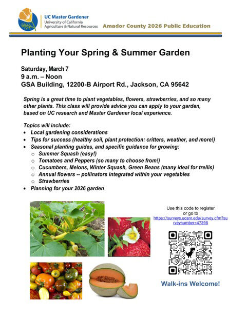 Planting Your Spring & Summer Garden — Saturday, March 7 | On the Vine ...