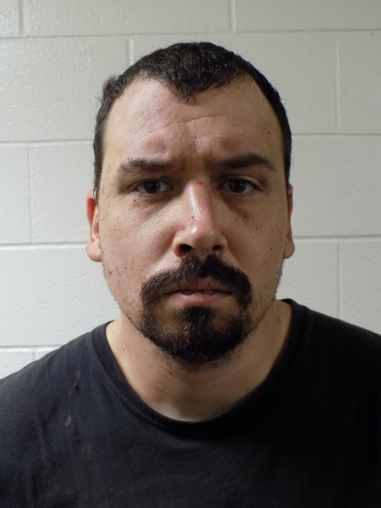 Death penalty could be in play for Ione stabber Jenkins | News | ledger ...