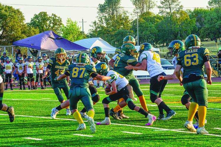 Youth Football Roundup: Argonaut squads get stingy when Junior Cats ...