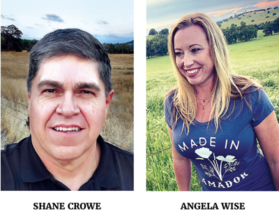 ELECTION GUIDE: ACUSD Trustee Area 1 | Elections | ledger.news
