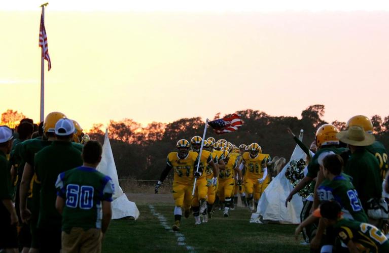 2017 All Star Lions Selection — David Crowhurst | In the Game | ledger.news