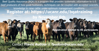 Free Beef Quality Assurance Training & Certification — Monday, November 13 | Press Releases ...