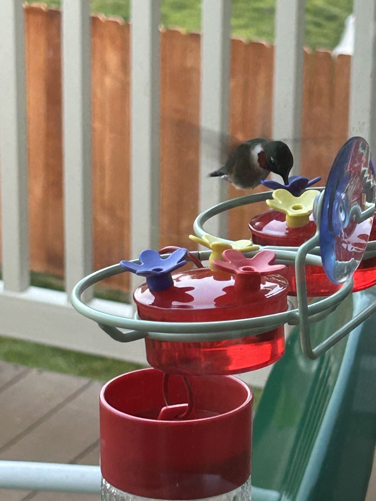 Page A12 | News Press Now | legacy.newspressnow.com