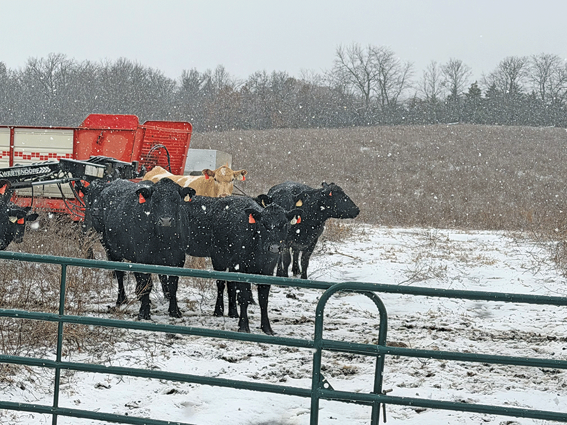 Page A6 | Corner Post | legacy.newspressnow.com