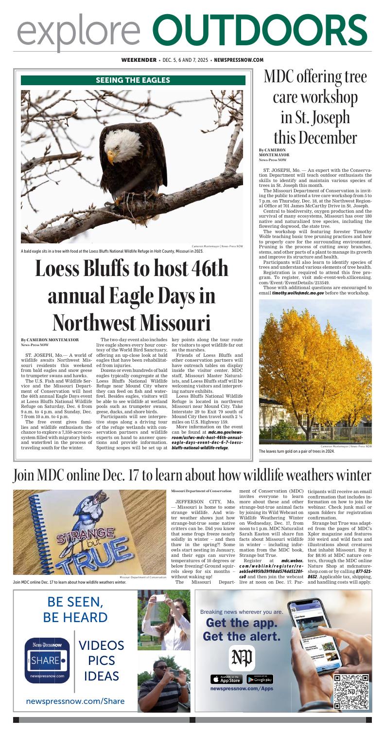 Paper Ceiling | News Press Now | legacy.newspressnow.com