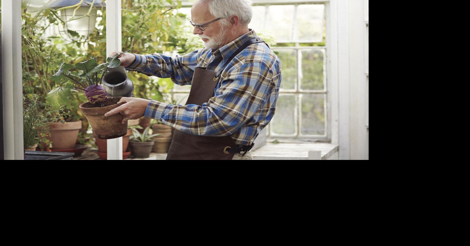 Good 2 Grow: Nurturing a plant and nurturing the soul | Lincoln News ...