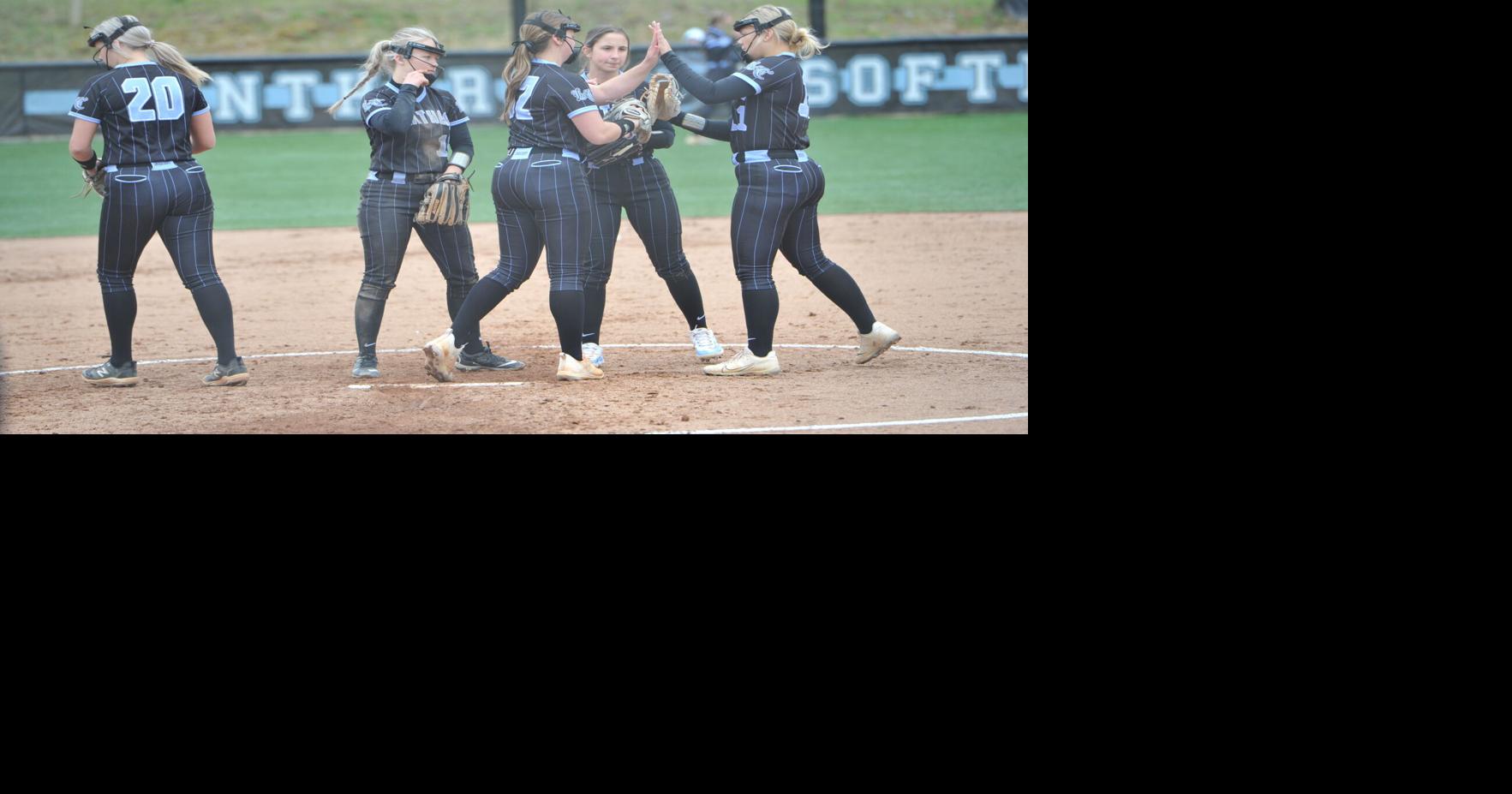 Prep softball sectionals: Shull, Panthers bat past Spring Valley ...