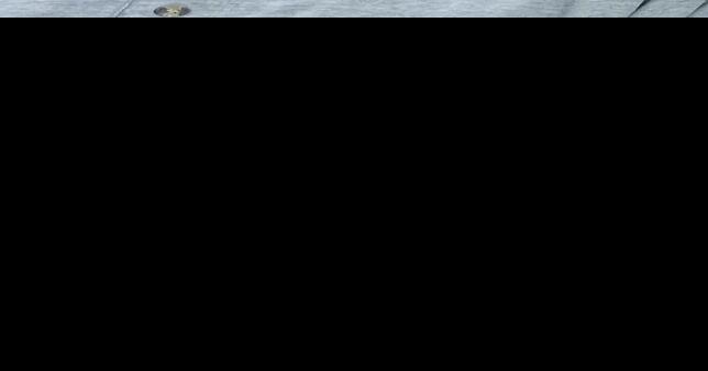 Lowell Dexter Cooper | | lincolnjournal.com