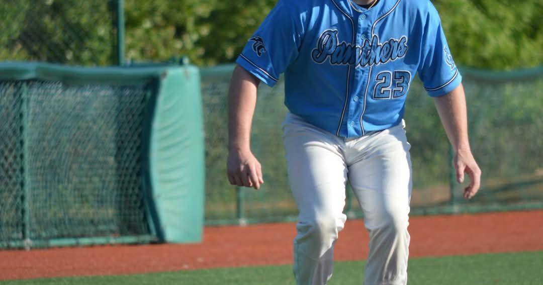 Panthers well represented on All-Cardinal baseball team, Peters named ...