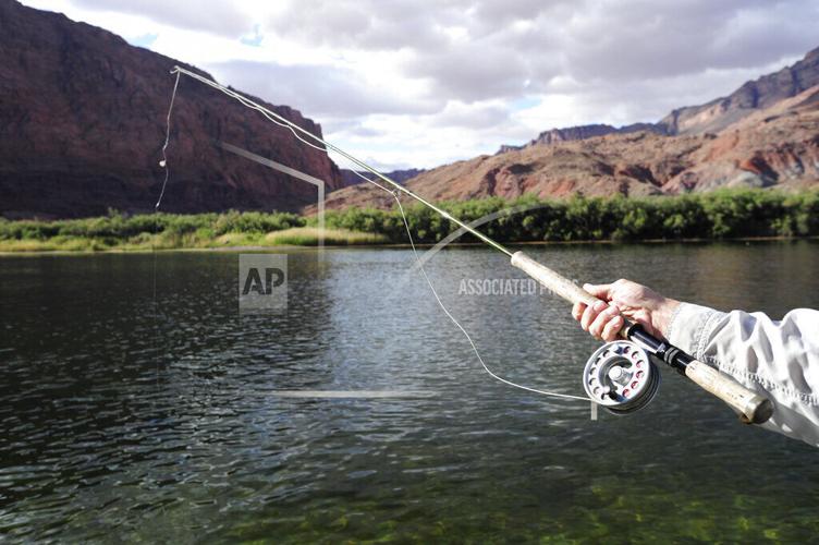 On the Colorado River, growing concern for trout and chub | Lincoln ...