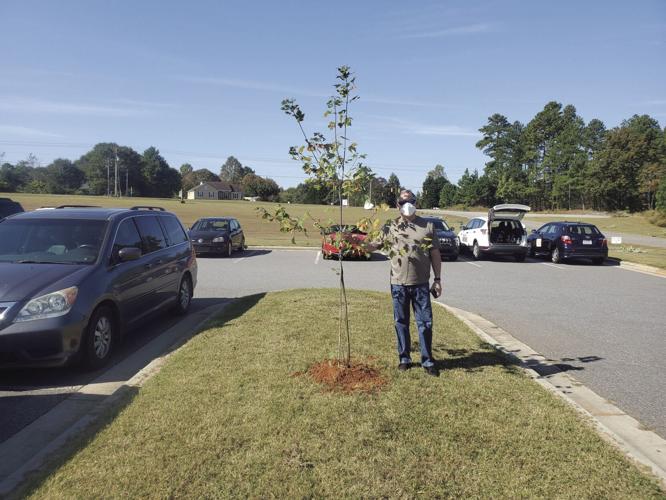 Organization plants trees to ‘keep Lincoln County beautiful’ | News ...