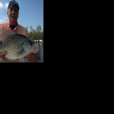 Fishin’ with Capt. Gus: Fish Names | Sports | lincolntimesnews.com