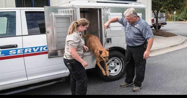 Lincoln County Animal Services, on a no-kill mission, expands staff ...