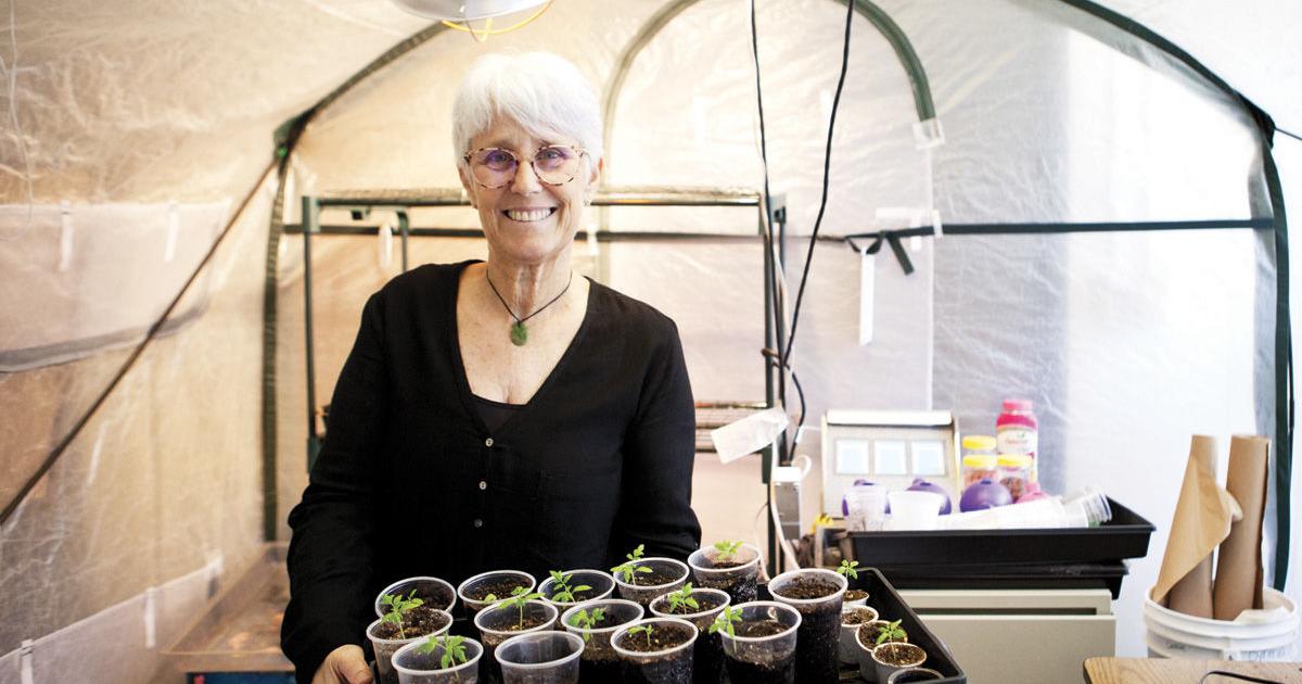 LHS teacher district winner of Shell Science Lab Challenge | News ...