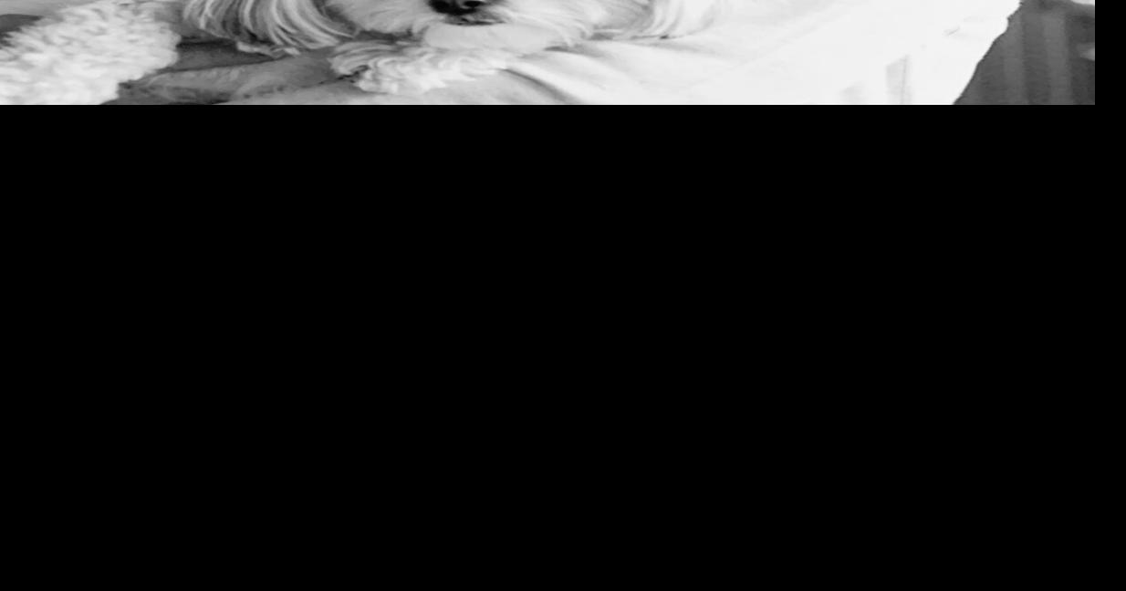 Judy Carver Edwards | Obituaries | lincolntimesnews.com