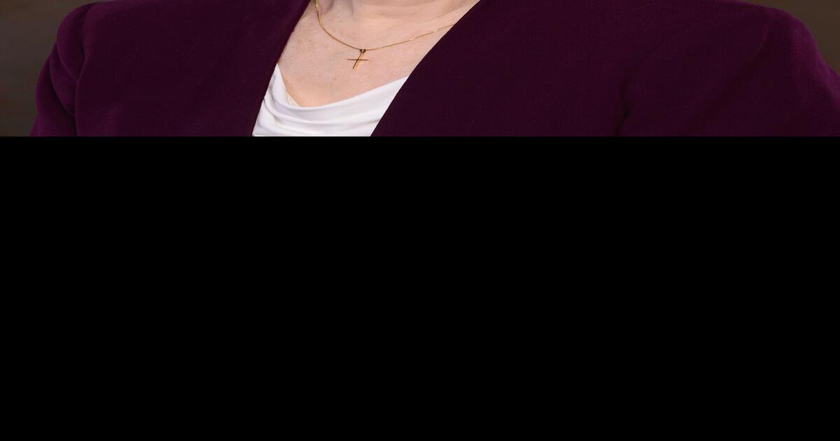 LSEDC names Teresa Evans as interim director | News | link2leessummit.com