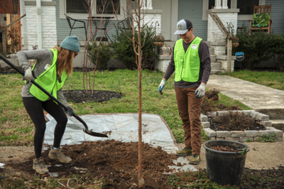 Enhancing Chattanooga with the Tree Project | Local News | local3news.com