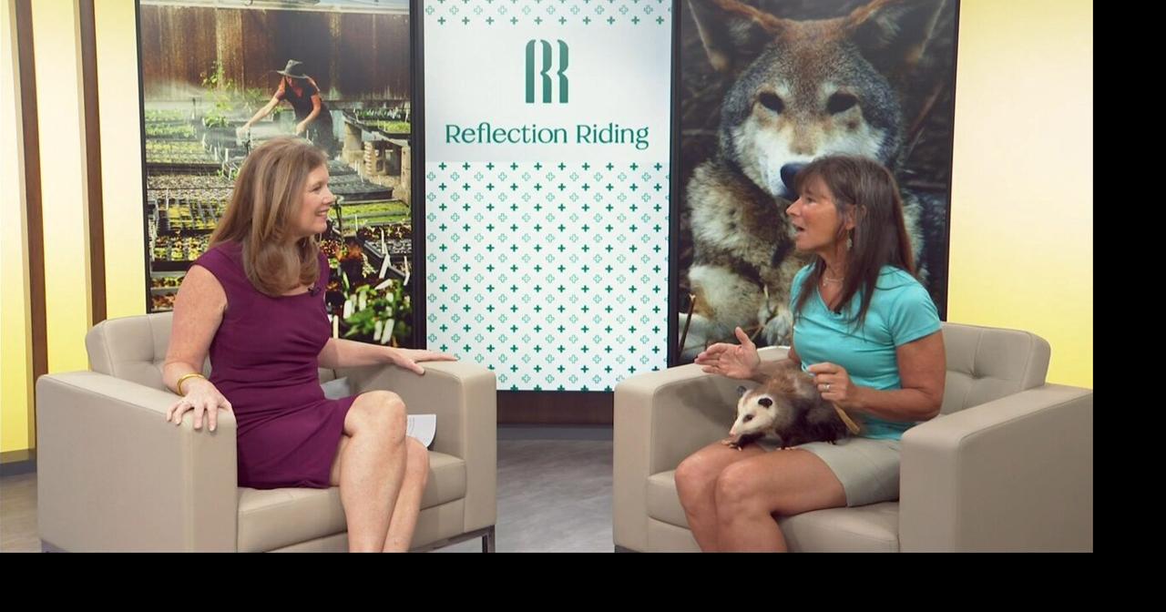 3 Plus Your Community- Reflection Riding | Local 3 Plus You ...