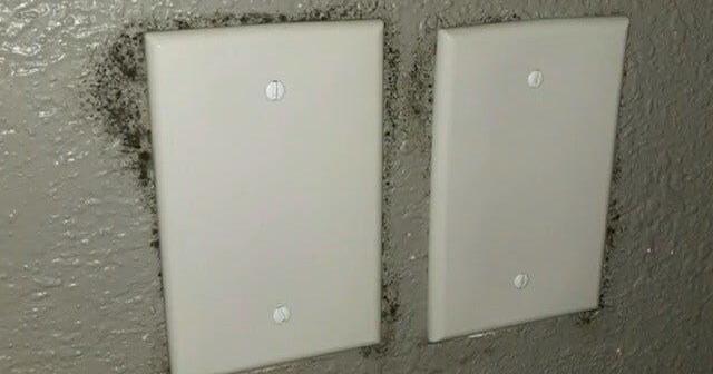 Displaced Patten Towers resident details horrid living conditions at ...