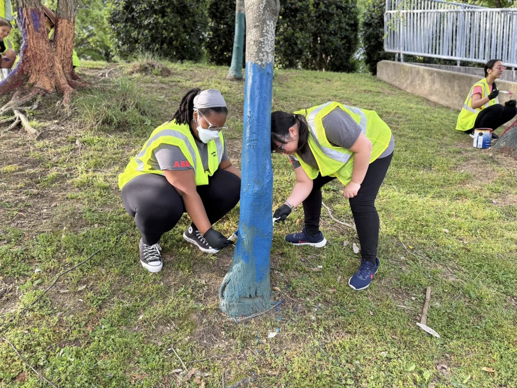 Creative Arts Students Paint Trees to Protect Beavers | Local News ...