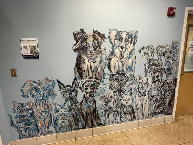 Collaborative Pet Portrait Mural with Local Artist | Local News ...