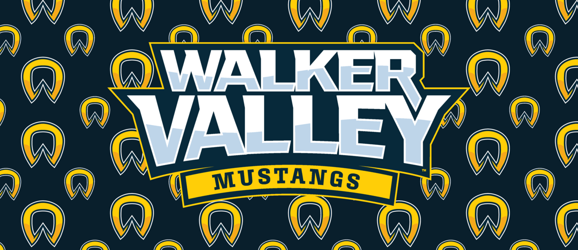 Walker Valley looking for volleyball & tennis coaches | Local News ...