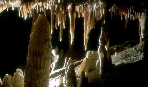 Southeastern Cave Conservancy Inc. buys Run to the Mill Cave Preserve ...