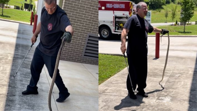 Chattanooga firefighters remove giant snake from Station 11 vending ...