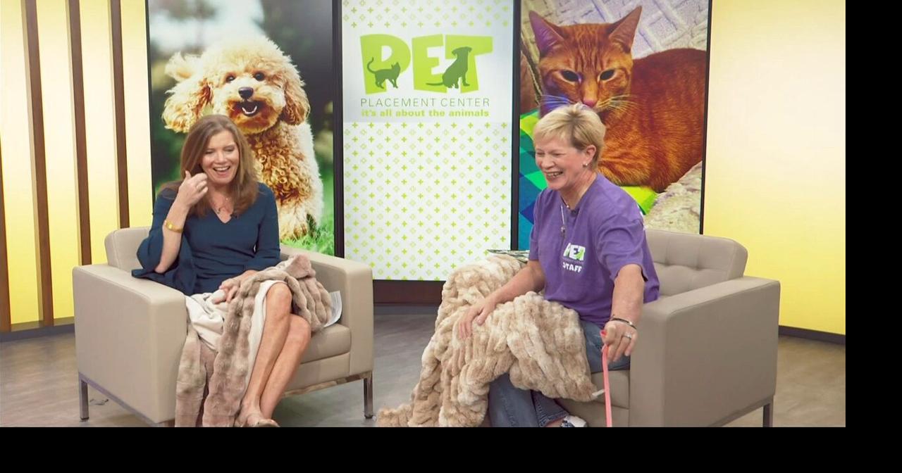 3 Plus Your Pets- Pet Placement Center | Local 3 Plus You | local3news.com