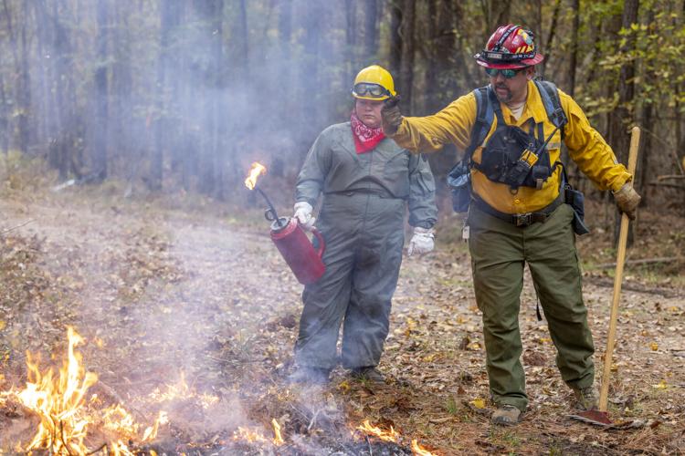 Prescribed Burns for Biodiversity at Berry College | Local News ...