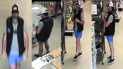 Help Needed to Identify Bird Thief in Dalton | Local News | local3news.com