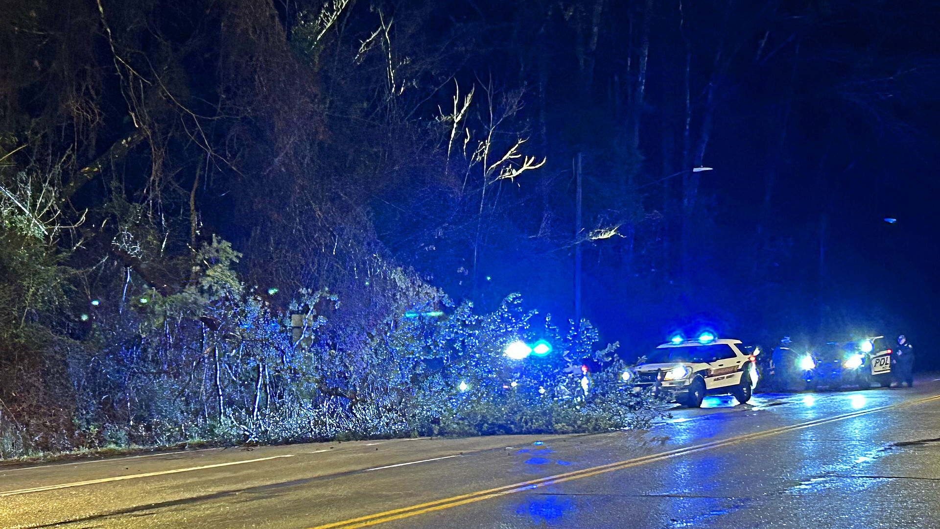 Safety Tips for Dealing with Strong Winds and Heavy Rain | Local News ...