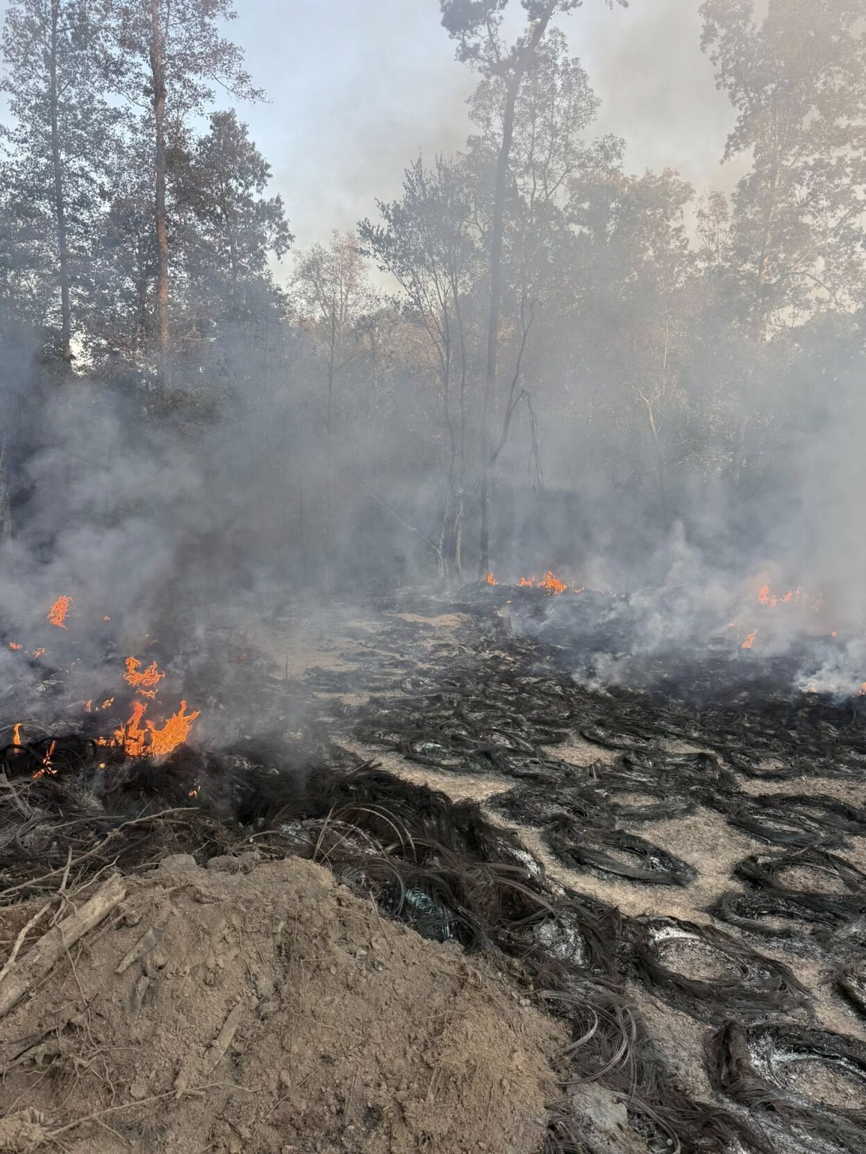 Breaking News: Huge Tire Fire in Aroney Community | Alabama ...