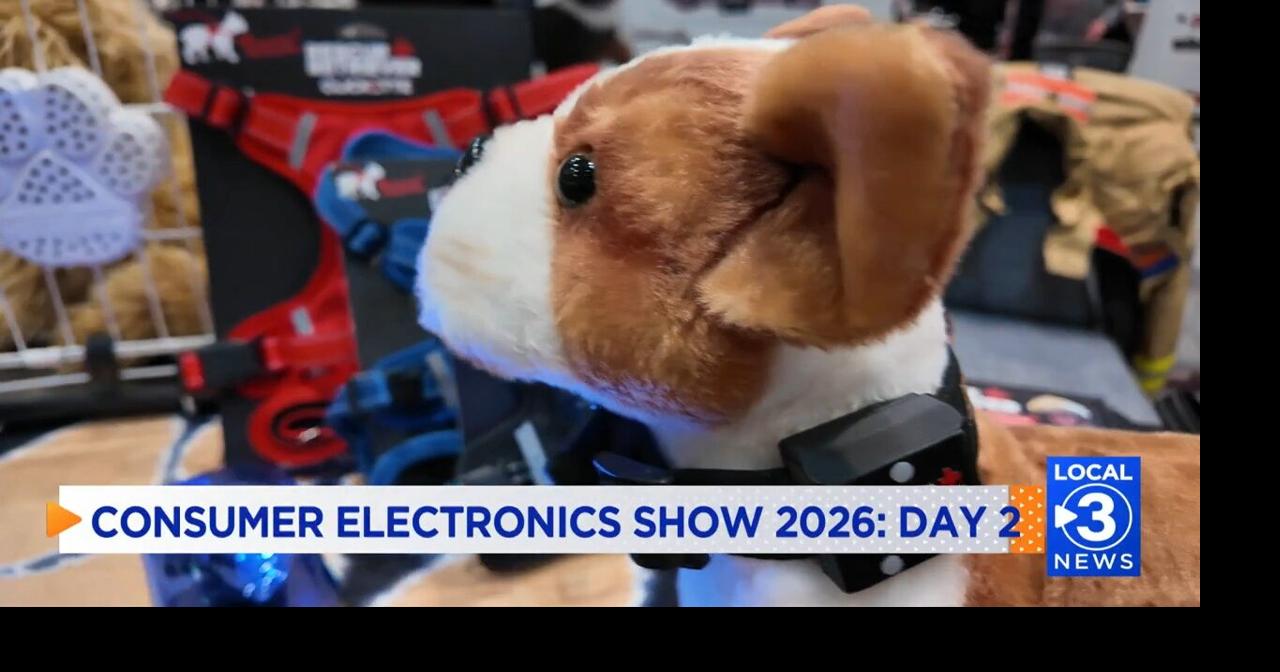 WHAT THE TECH? Day 2 of Consumer Electronics Show | Local News ...