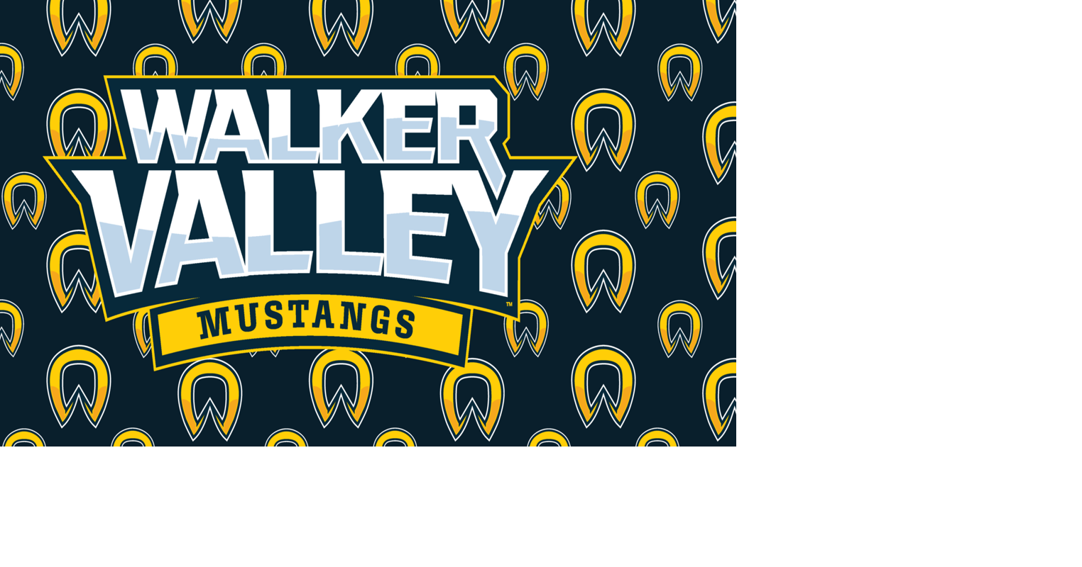 Walker Valley Mustangs vs McMinn County Cherokees | Local News ...