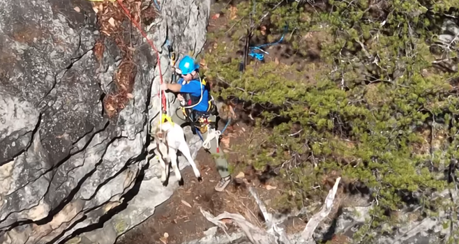 Goats rescued after being stranded on ledge for almost 2 weeks | Local ...