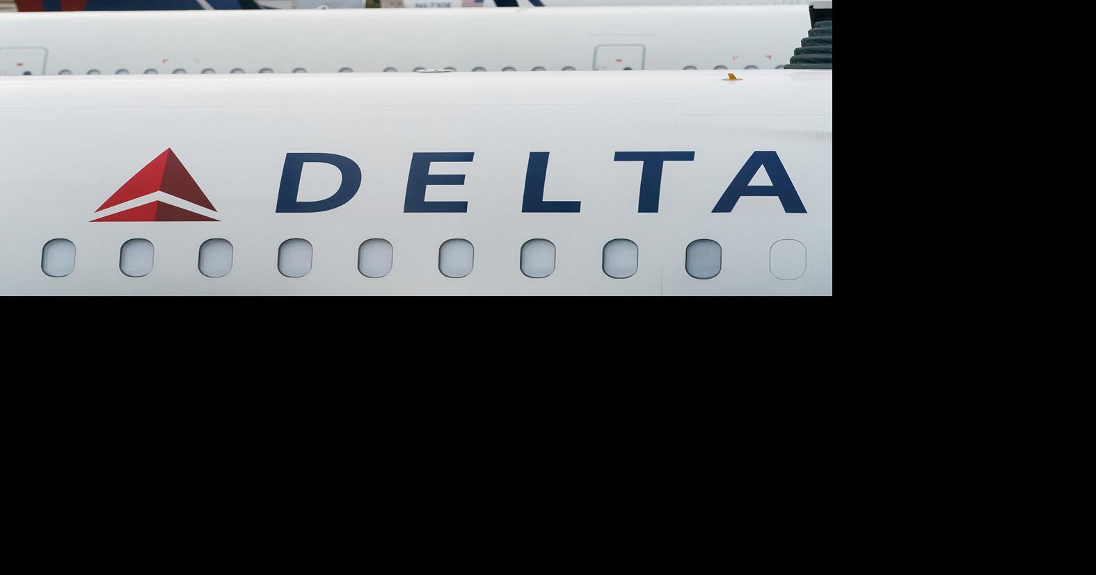 Swarm of bees delays a Delta flight by three hours | Georgia ...