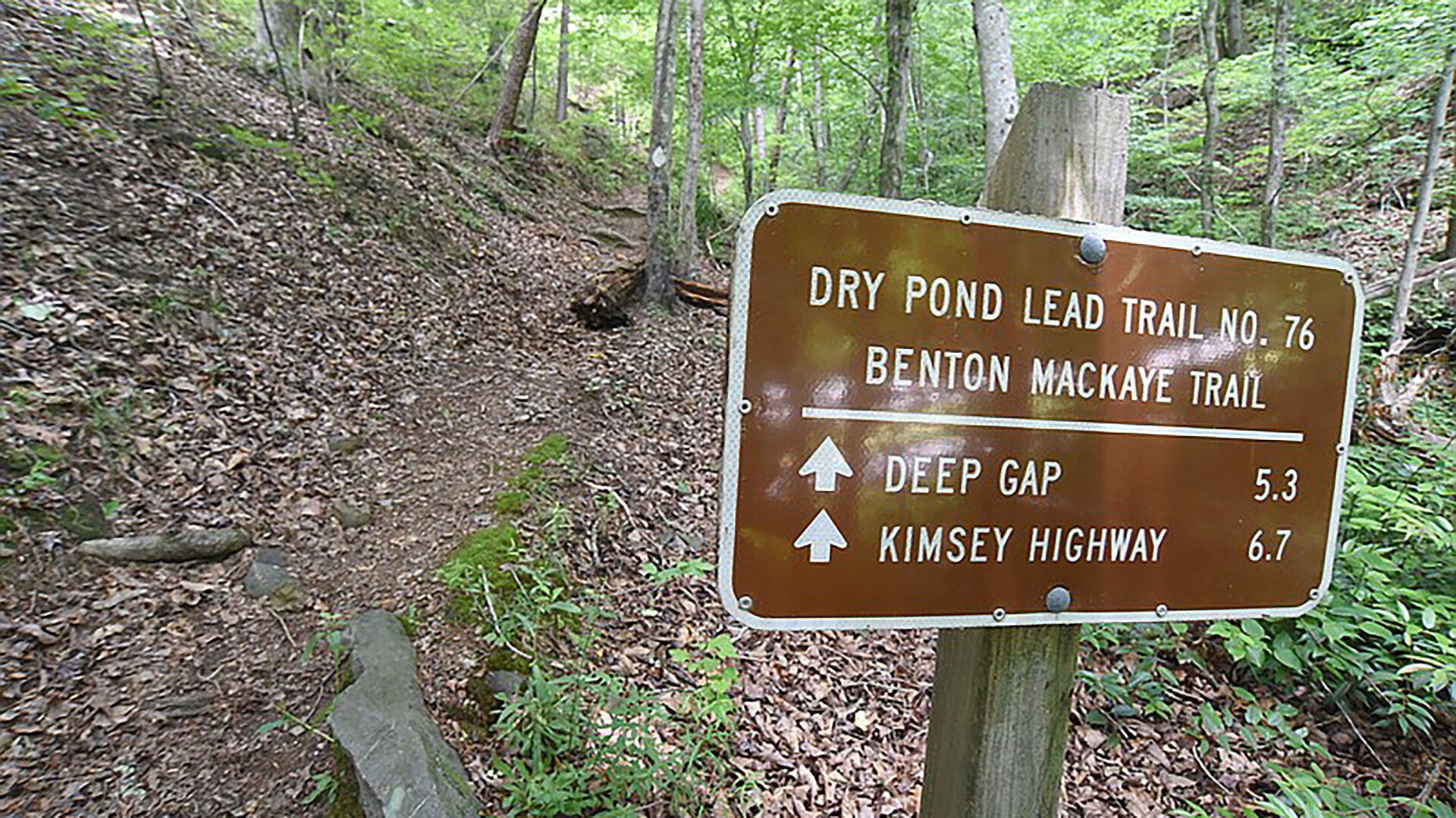 Cherokee National Forest Fork Ridge Fire Update | Local News ...