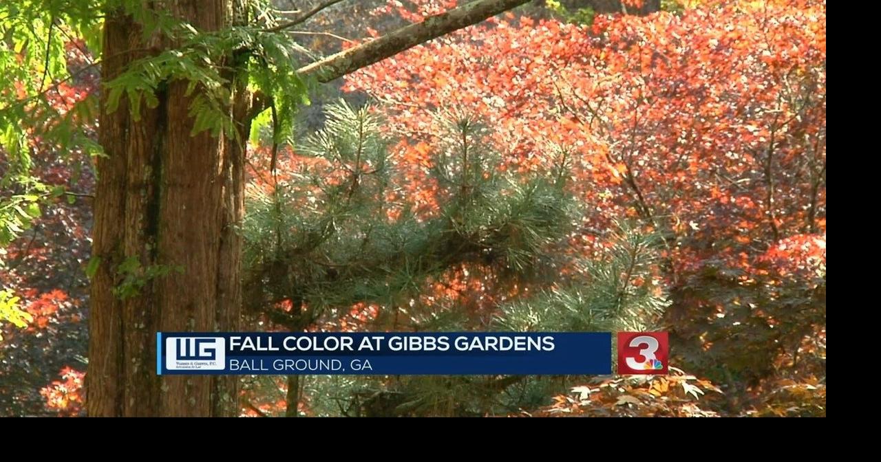 3 In Your Town: Fall Colors at Gibbs Gardens | Local 3 In Your Town ...