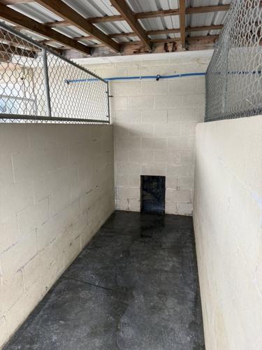 Calhoun Animal Control Center Donor Support | Local News | local3news.com