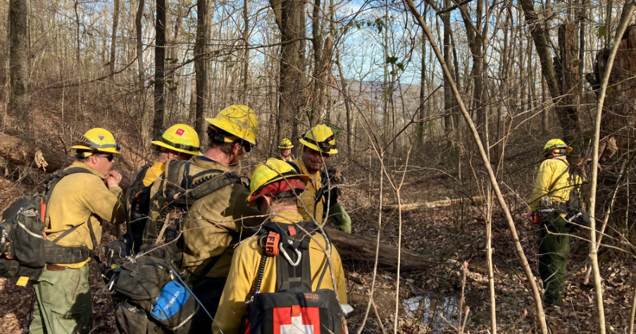 Fire Near Daus Mountain Road in Sequatchie County | Local News ...