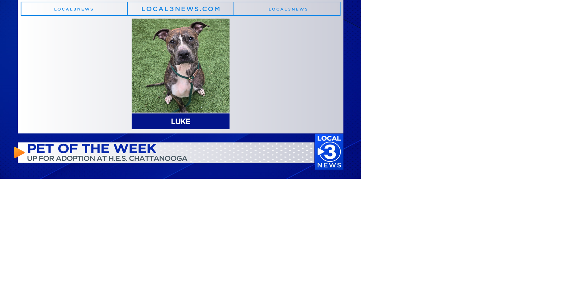 Meet Luke, Our Pet of the Week | Pet of the Week | local3news.com